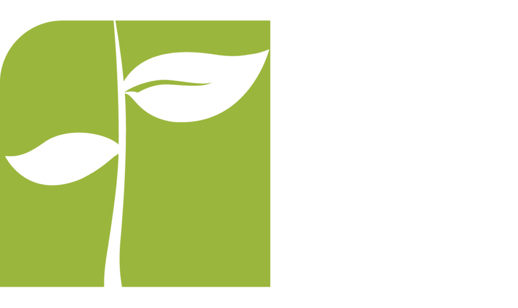 Finance Director vs CFO: What’s the difference? - New Life CFO